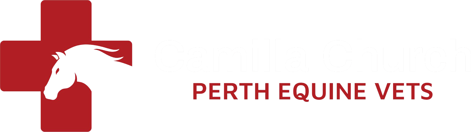 Horse Vet Perth | Perth Equine Vets | Veterinary Services in Perth Scotland