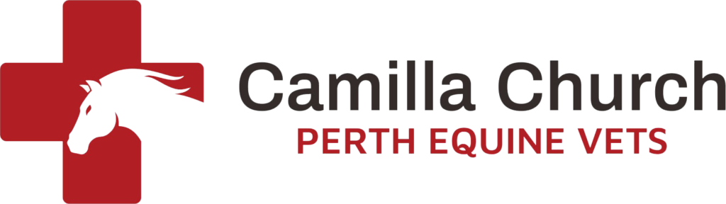 Horse Vet Perth | Perth Equine Vets | Veterinary Services in Perth Scotland