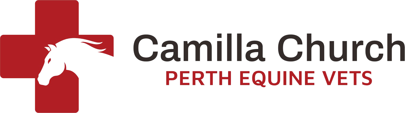 About Us - Perth Equine Vets Local horse vet near me