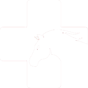 Contact Us – Perth Equine Vets
